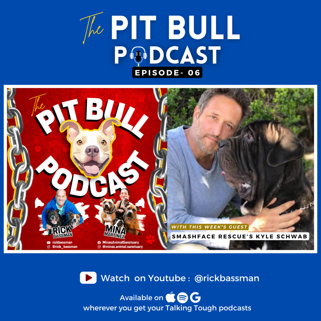 Episode 6 – with Smashface Rescue’s Kyle Schwab & The Pit Bull Podcast ...